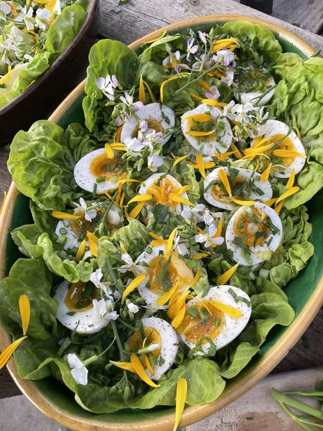 River Cottage Cookery School, Dining, Kitchens and Bespoke Events