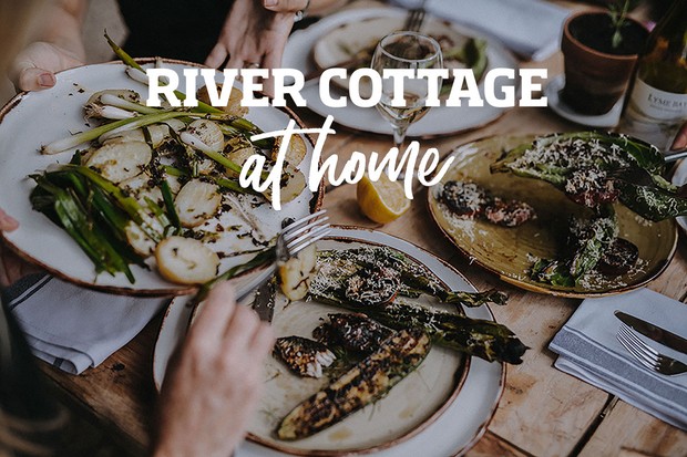 River Cottage Cookery School, Dining, Kitchens and Bespoke Events